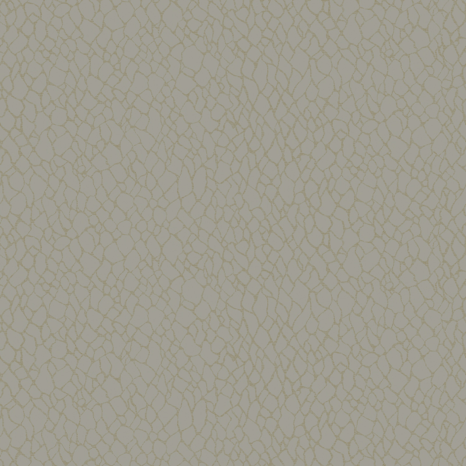 Webbing Wallpaper - Direct Paint